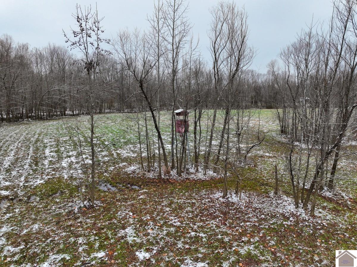 000 Walter Jennings Road Benton KY 42025 | Active