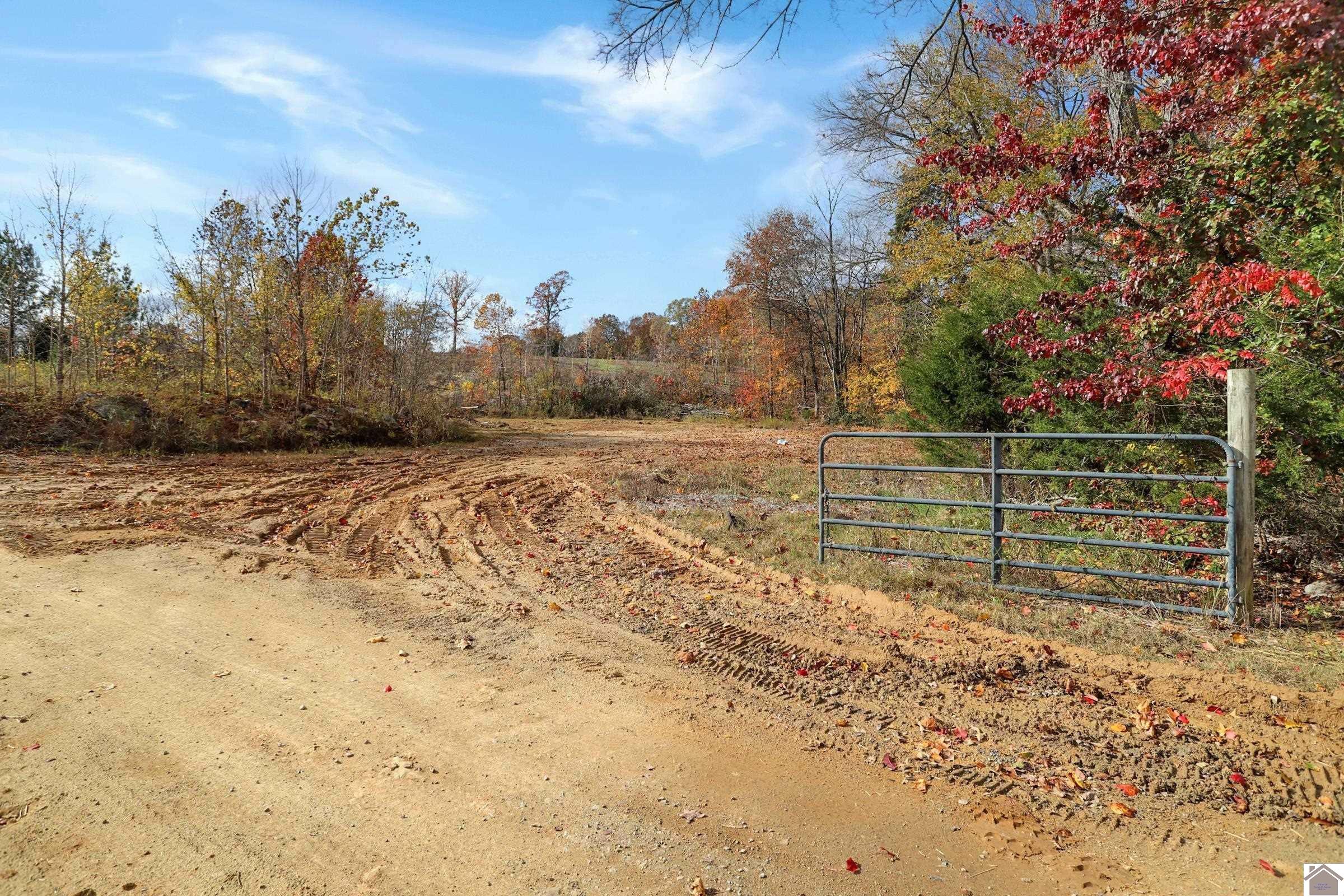 13217 State Route 121 S New Concord KY 42026 | Active